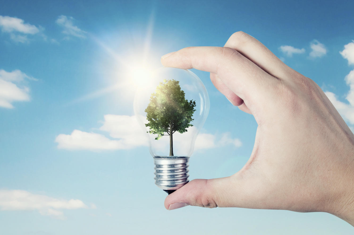 Efektywność energetyczna w praktyce | Veolia Poland